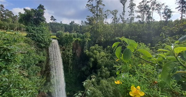 Community Hiking in Ethiopia's Gurage Zone - SimienEcoTours