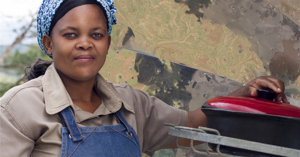 About Three Tree Hill - Three Tree Hill