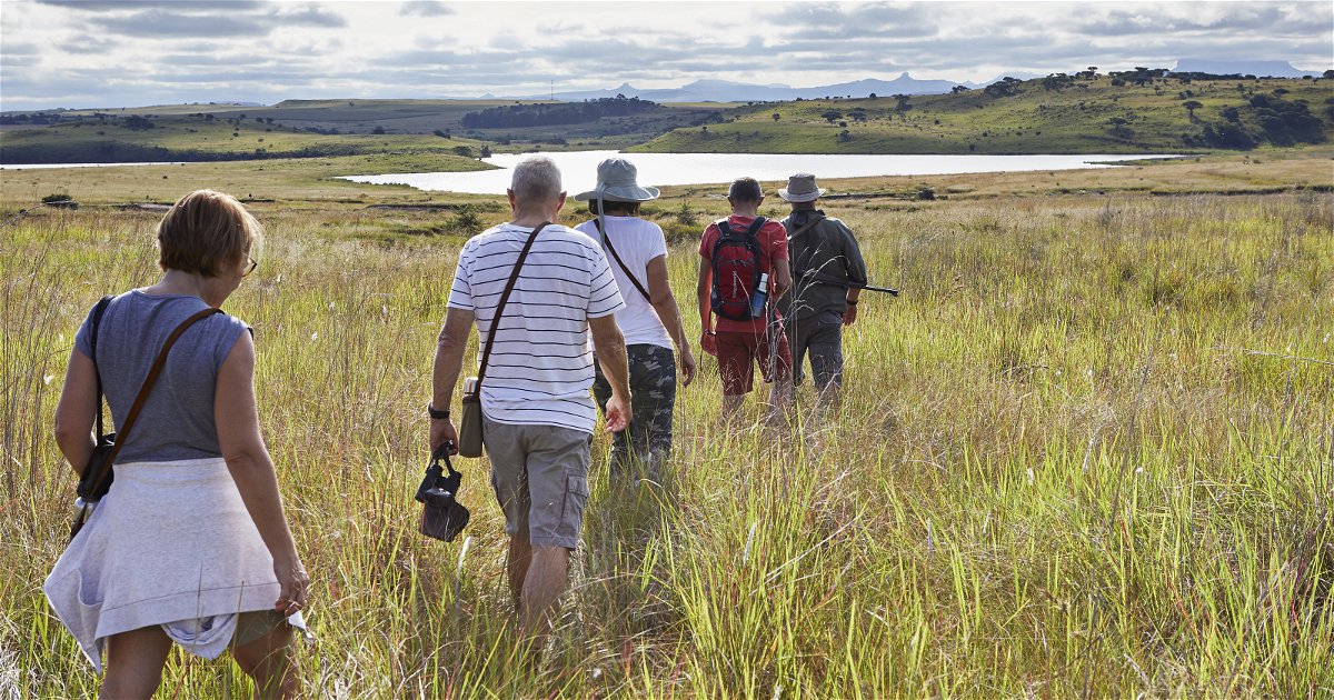 Experiences - Three Tree Hill